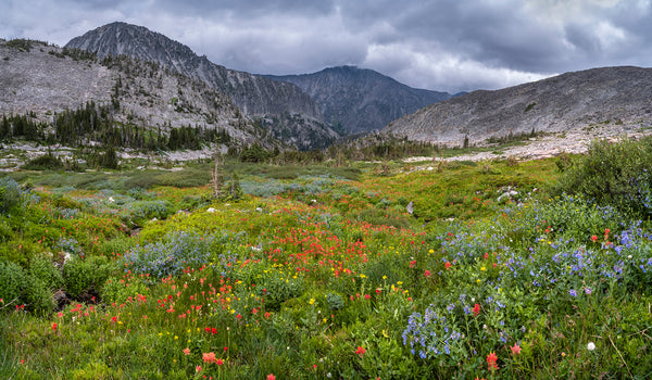 Summer Splendor – Jake Mosher Photography