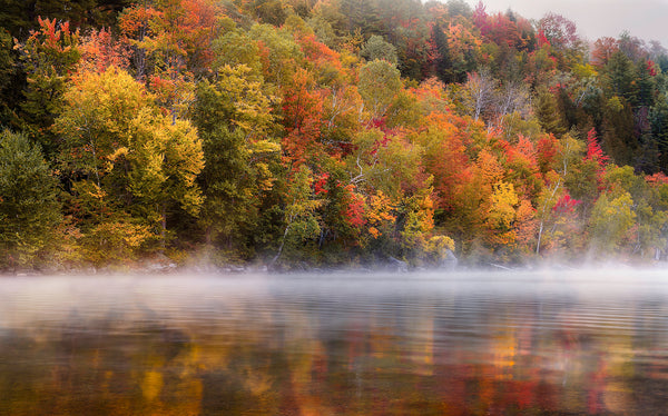 Misty Morning – Jake Mosher Photography